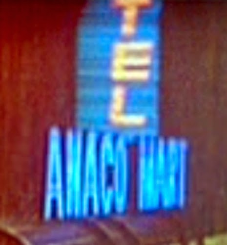 Neato Coolville: NEON SIGNS OF BLADE RUNNER