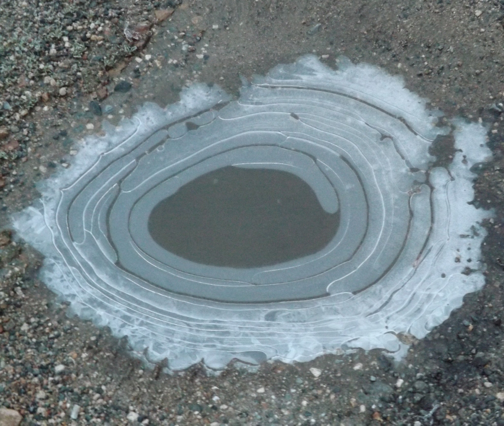 Dartmoor Ramblings: ICE PUDDLES