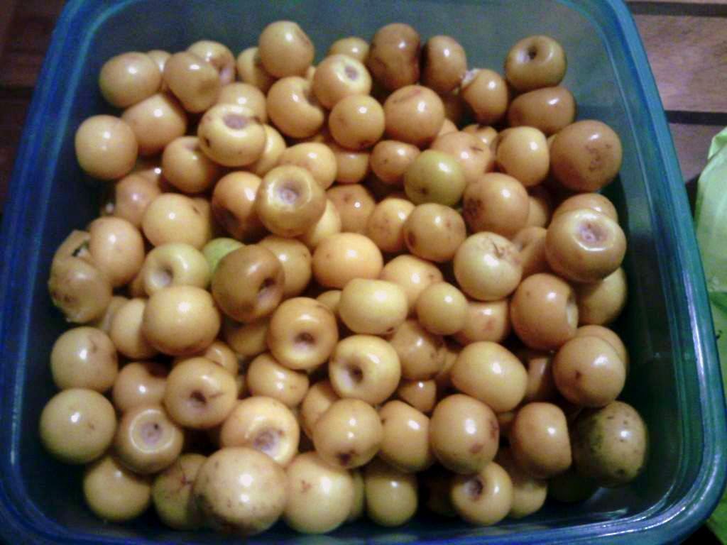 GUIA MEXICO.......... La guía de lugares que DEBES visitar si estas de ...