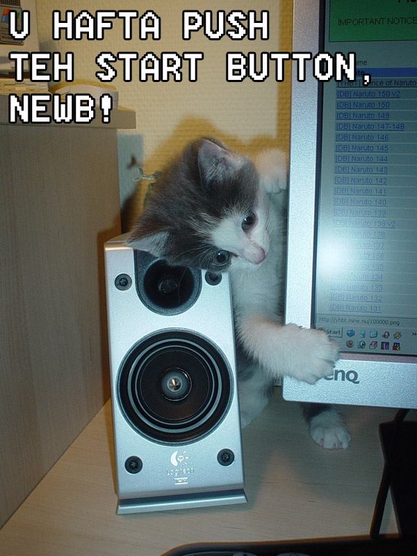 U hafta push teh start button, newb! | Funny Cat Pictures