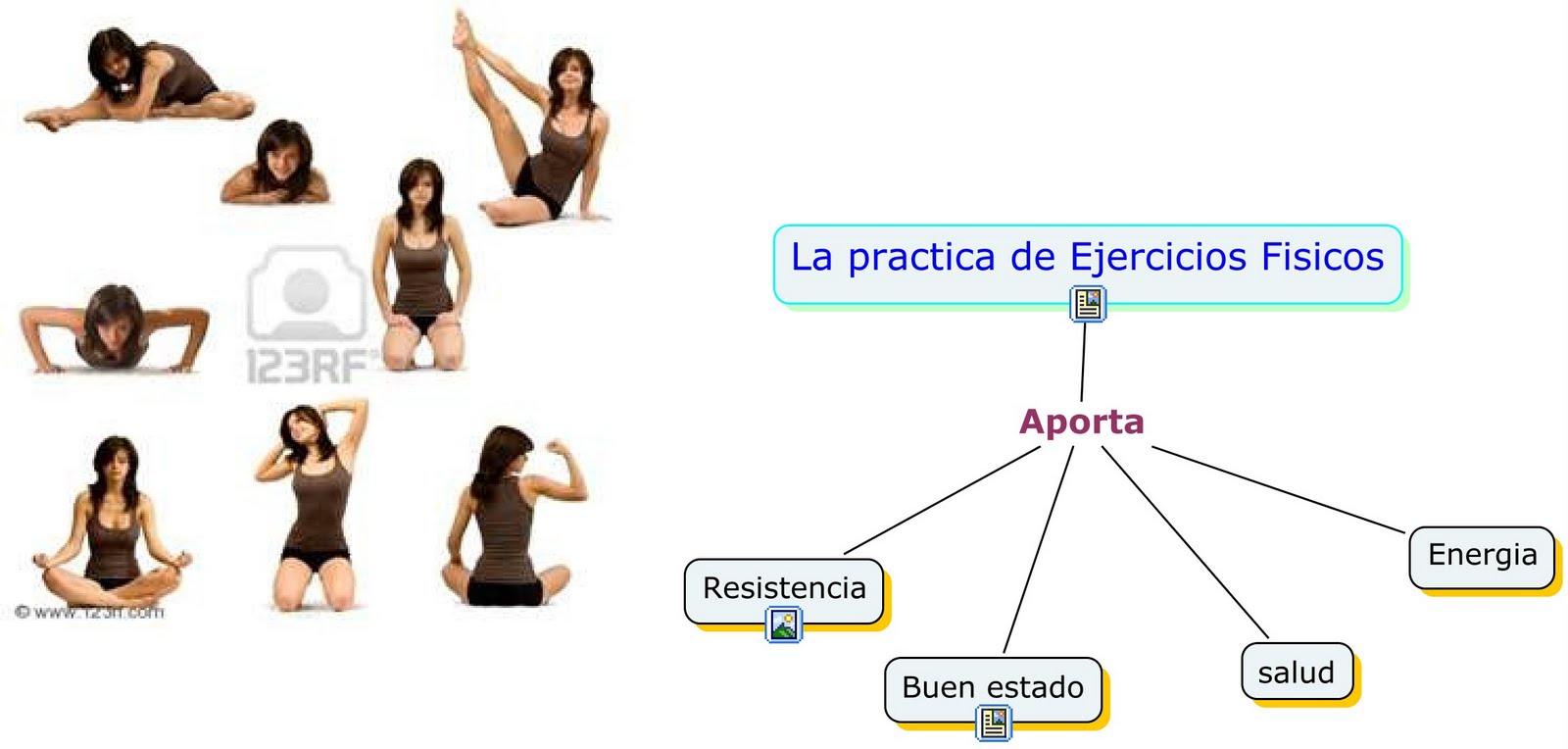 Ejercicio FÍsico Mapa Mental Mind Map | Images and Photos finder