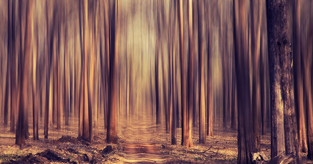 School Of Digital Photography: Abstract Photography a Beginners Guide