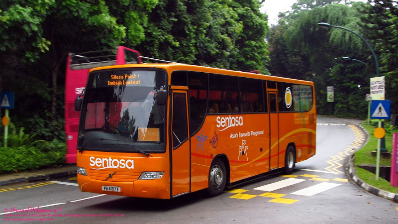 (buses[IN]gapore!): Sentosa buses' new livery!