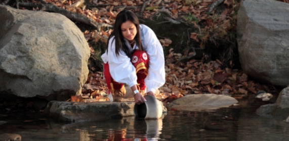 White Wolf : 12 of Nature's Most Powerful Medicinal Plants From ...