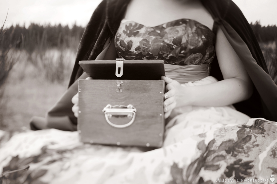 Alicia Clifford Photo Art: Diana Miss Washington Job's Daughters ...