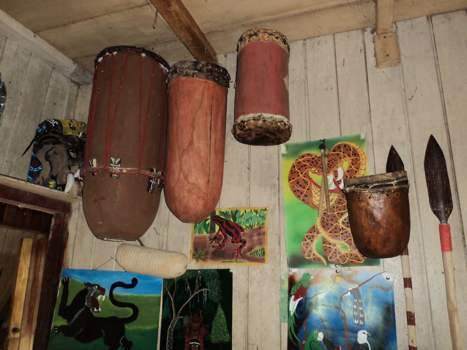 The Brainwash Times: Térraba