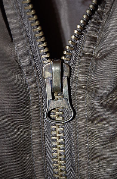 The Language Journal: Burdock – a vegetable that inspired the invention ...