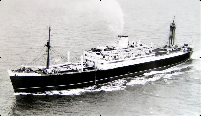 Woolshed 1: Agricultural history in New Zealand. Herd testers. Peter ...