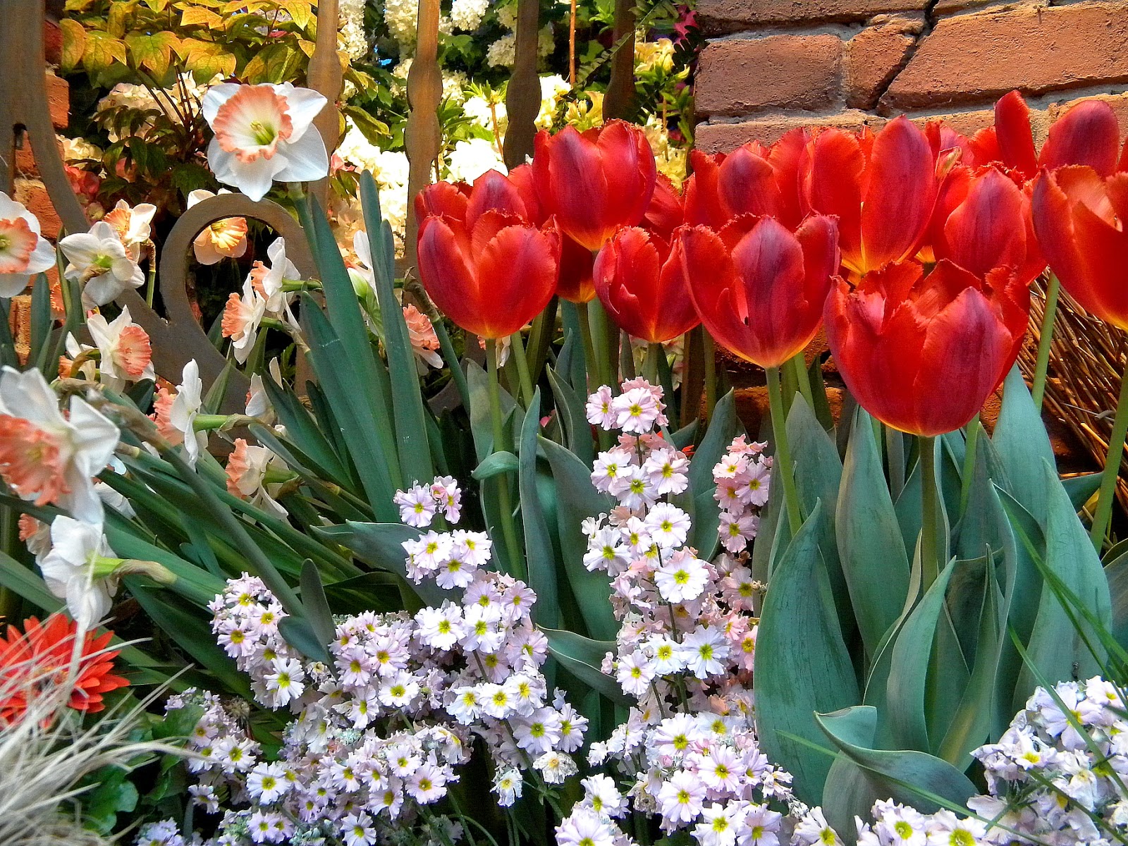 Macy's Spring Flowers Show Clip Art Public Domain Clip Art Photos and ...