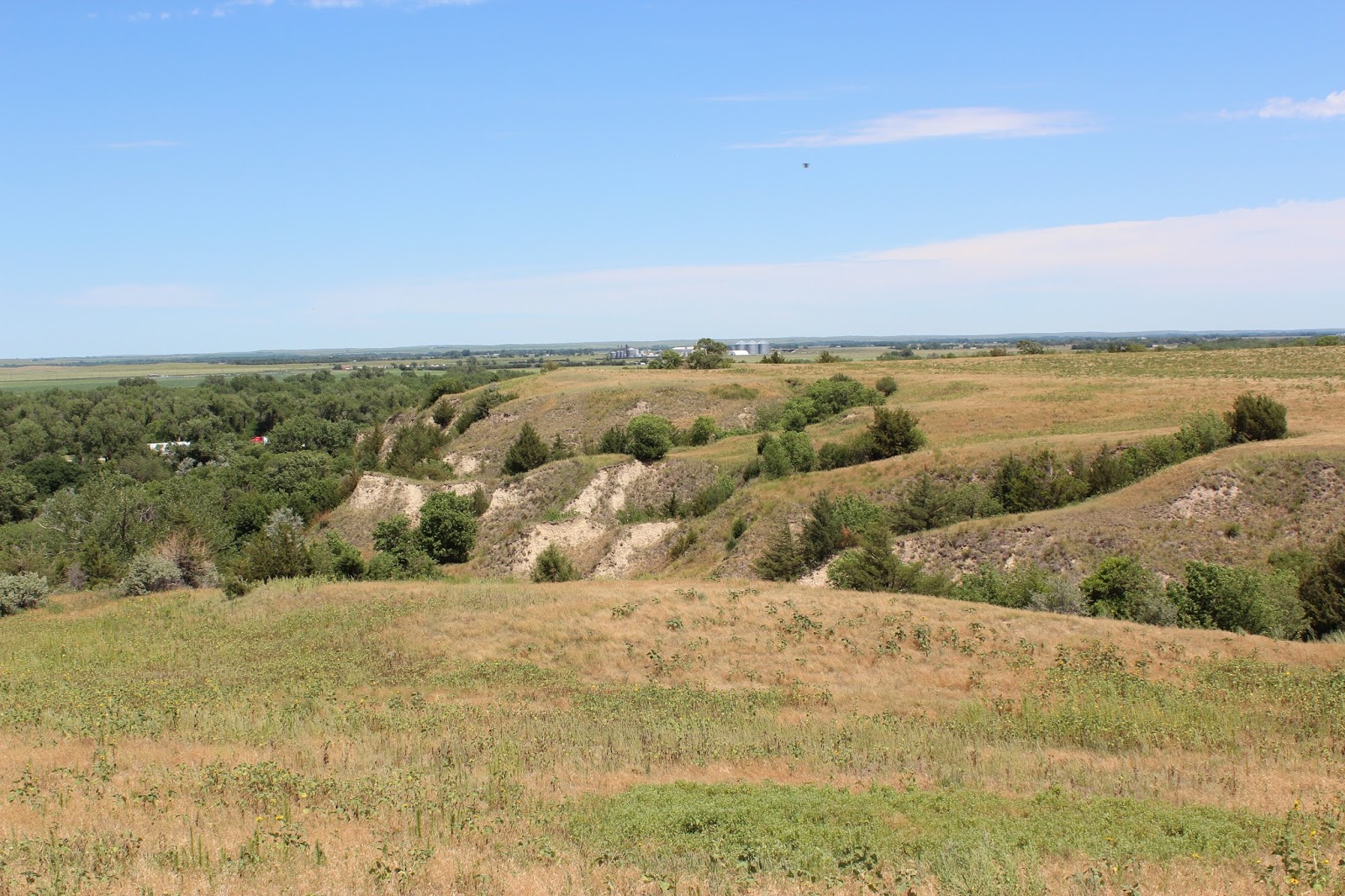 Sunday Stories: Early History - O'Fallons Bluff