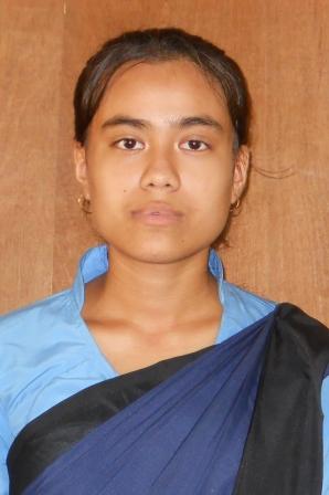 Dhana Singh Choudhury Memorial H S School: 2012 BOARD EXAMINATION RESULT