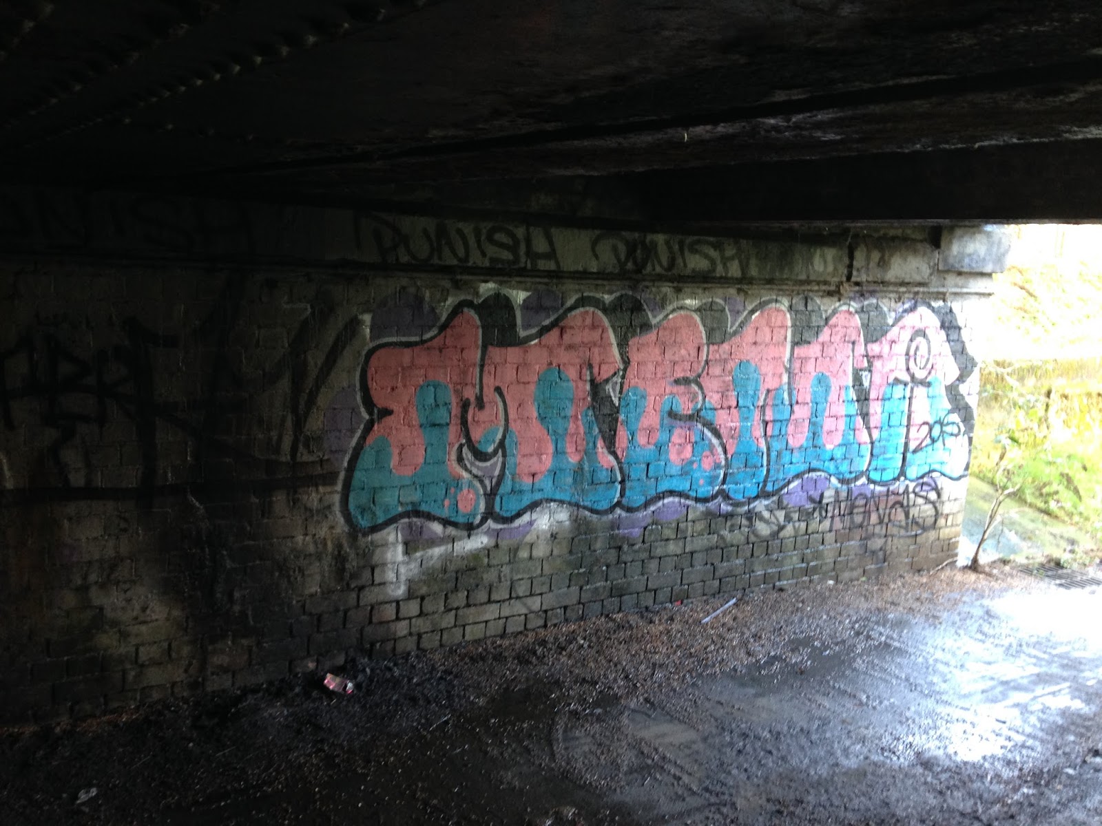 Northampton Graffiti 2015-2016 (Far Cotton, St James, Semilong, Briar ...