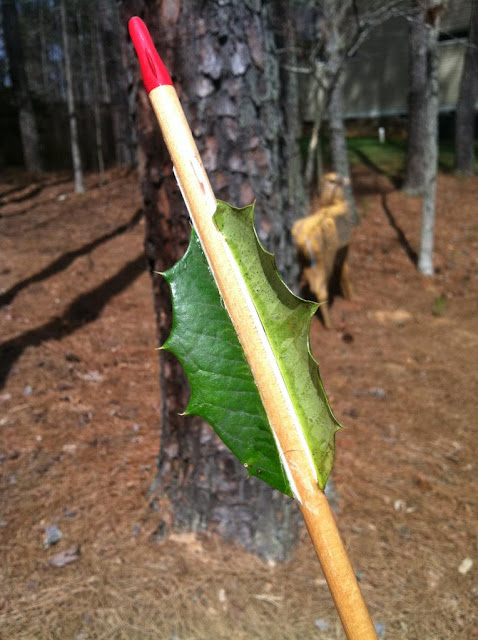 Cardio Trek - Toronto Personal Trainer: Arrow Fletching - Kinds and Shapes