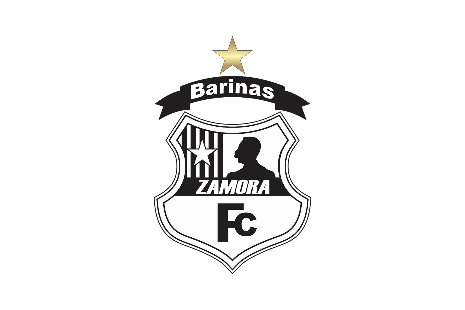 Zamora FC Logo
