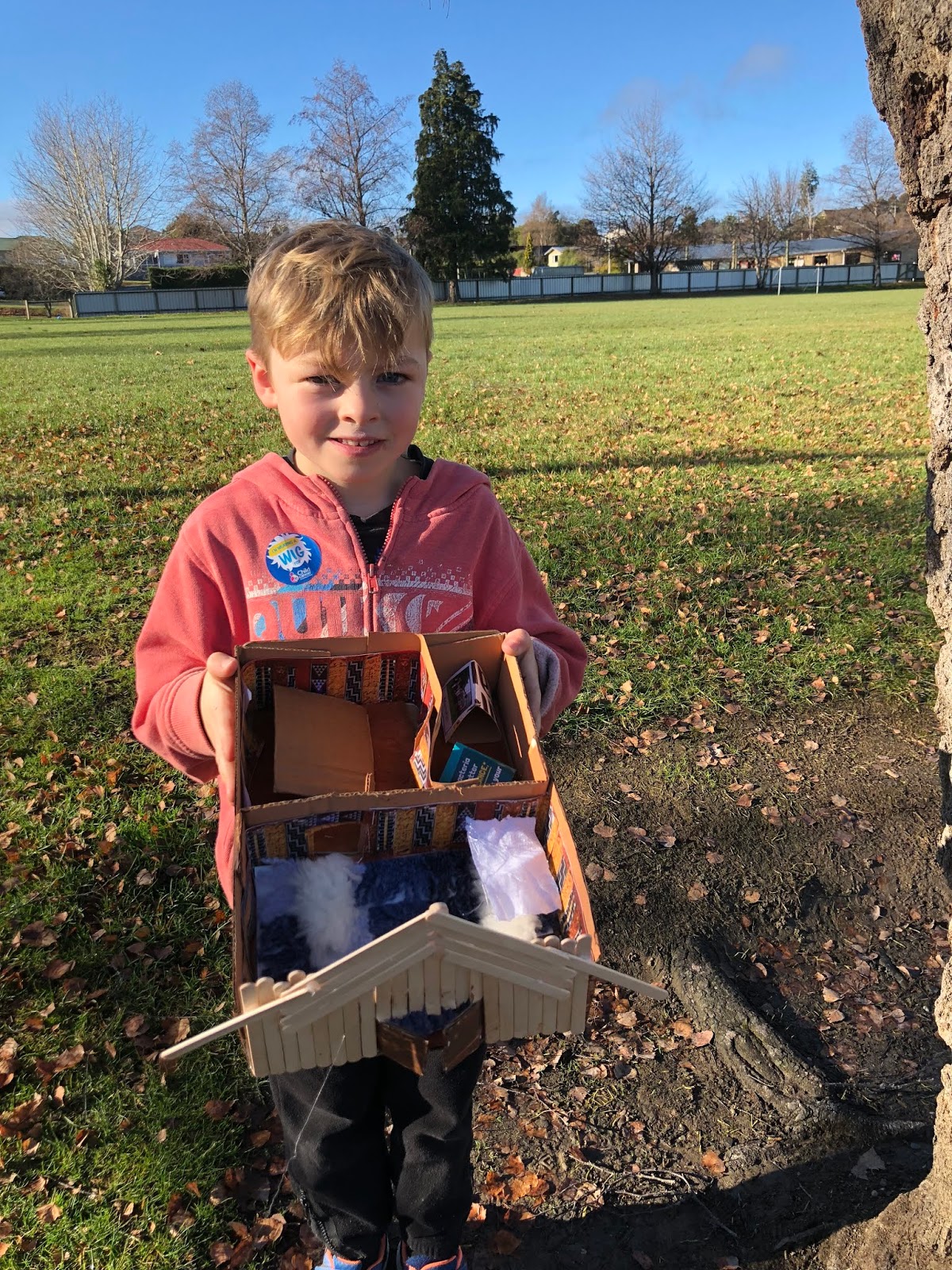 Ned's Learning Journey: kowhaiwhai patterns, marae, visual mihi