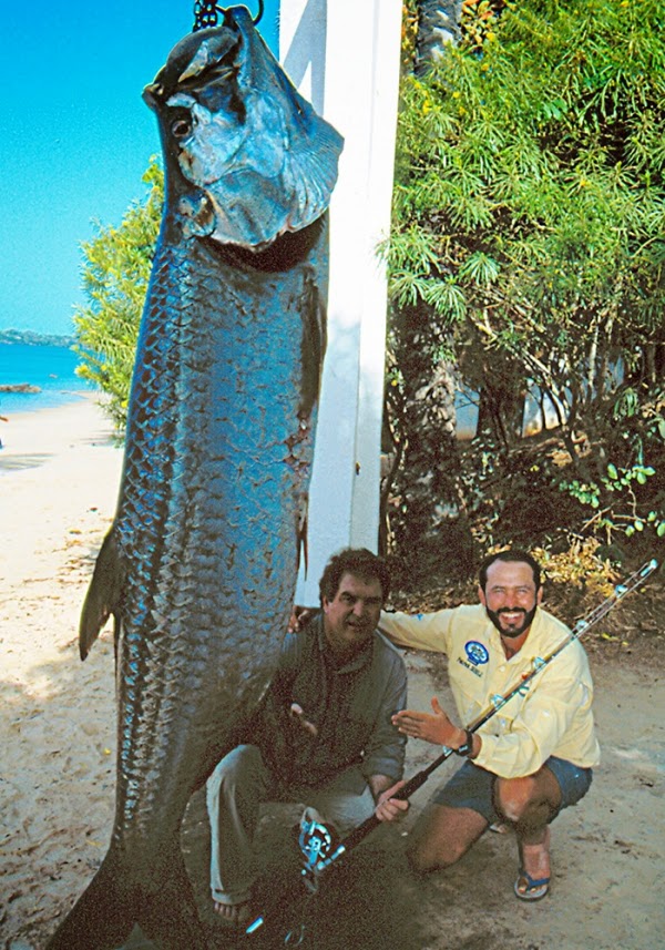 How To Fishing: Big Tarpon Catches Ever