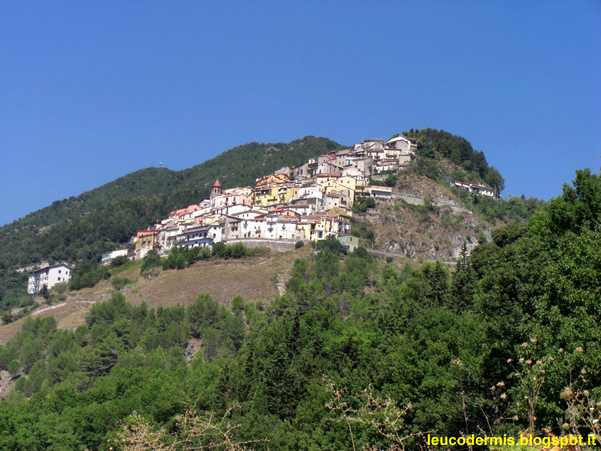 Leucodermis: In MTB: a Castelluccio Inferiore da Croce Pantana ...
