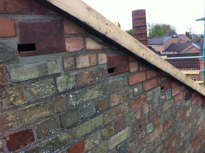 Action for Swifts: More on the old St Neots factory site