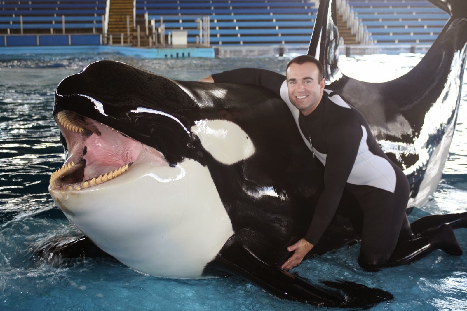 Blackfish Documentary