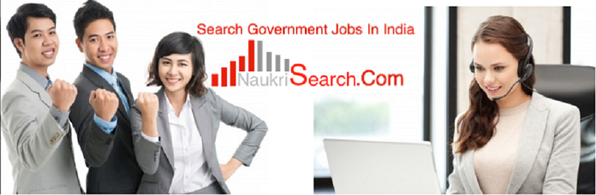 Government Jobs India: Job Search Secrets