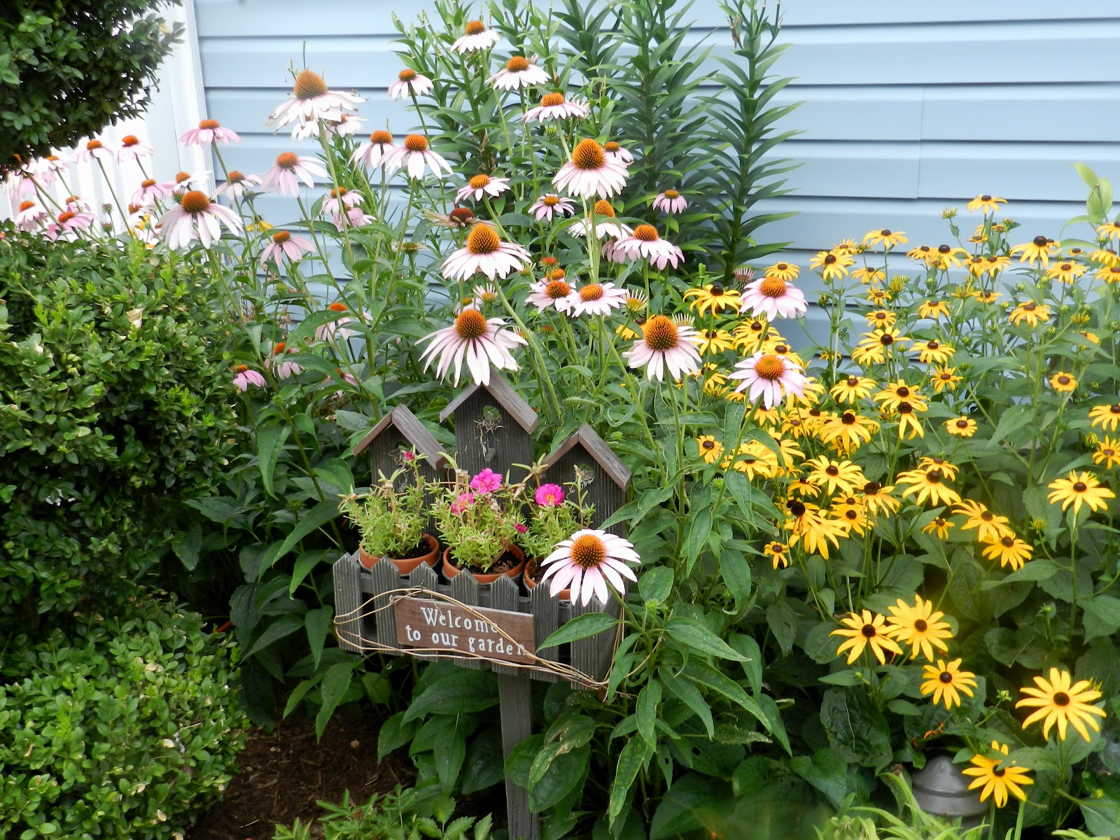Prairie Rose's Garden: Summer Garden Walks