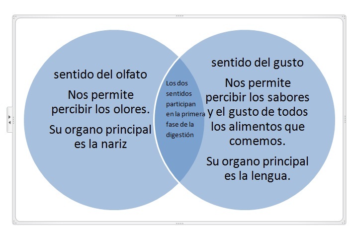 Conoce tus sentidos y la relación con el Sistema Nervioso: Esquema de ...