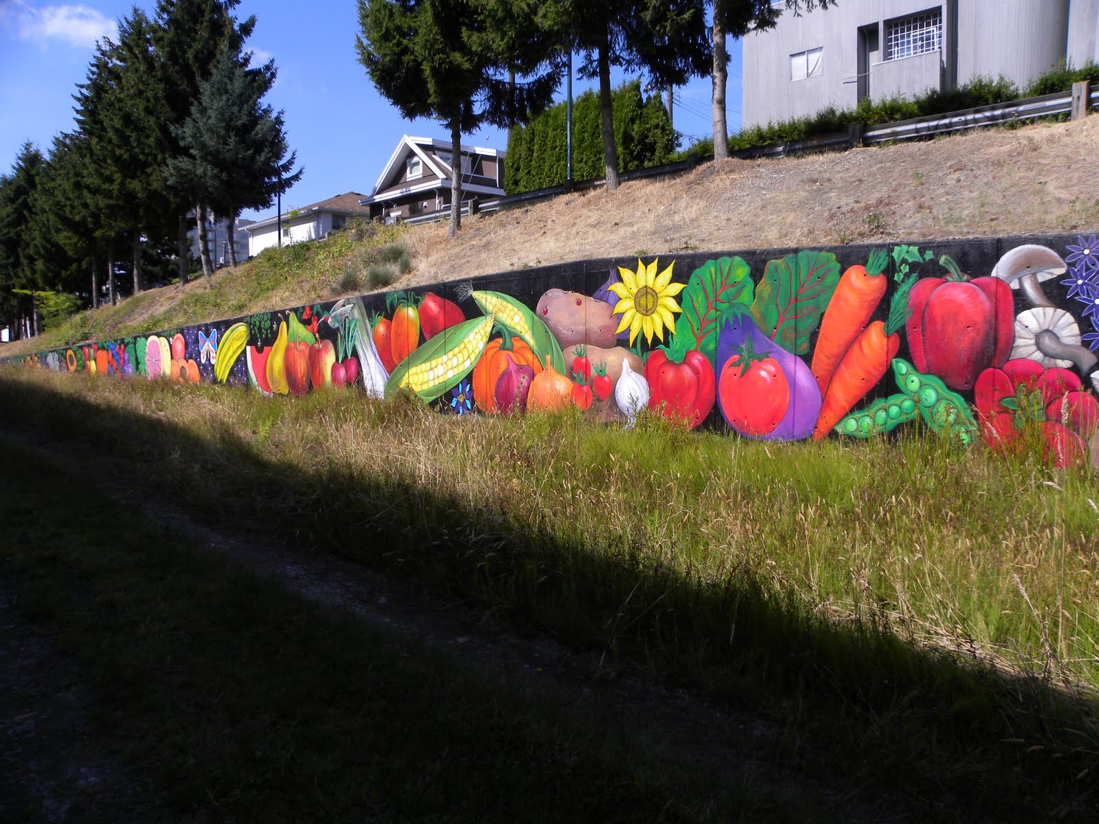 fruit/vegetable murals in Vancouver : r/vancouver