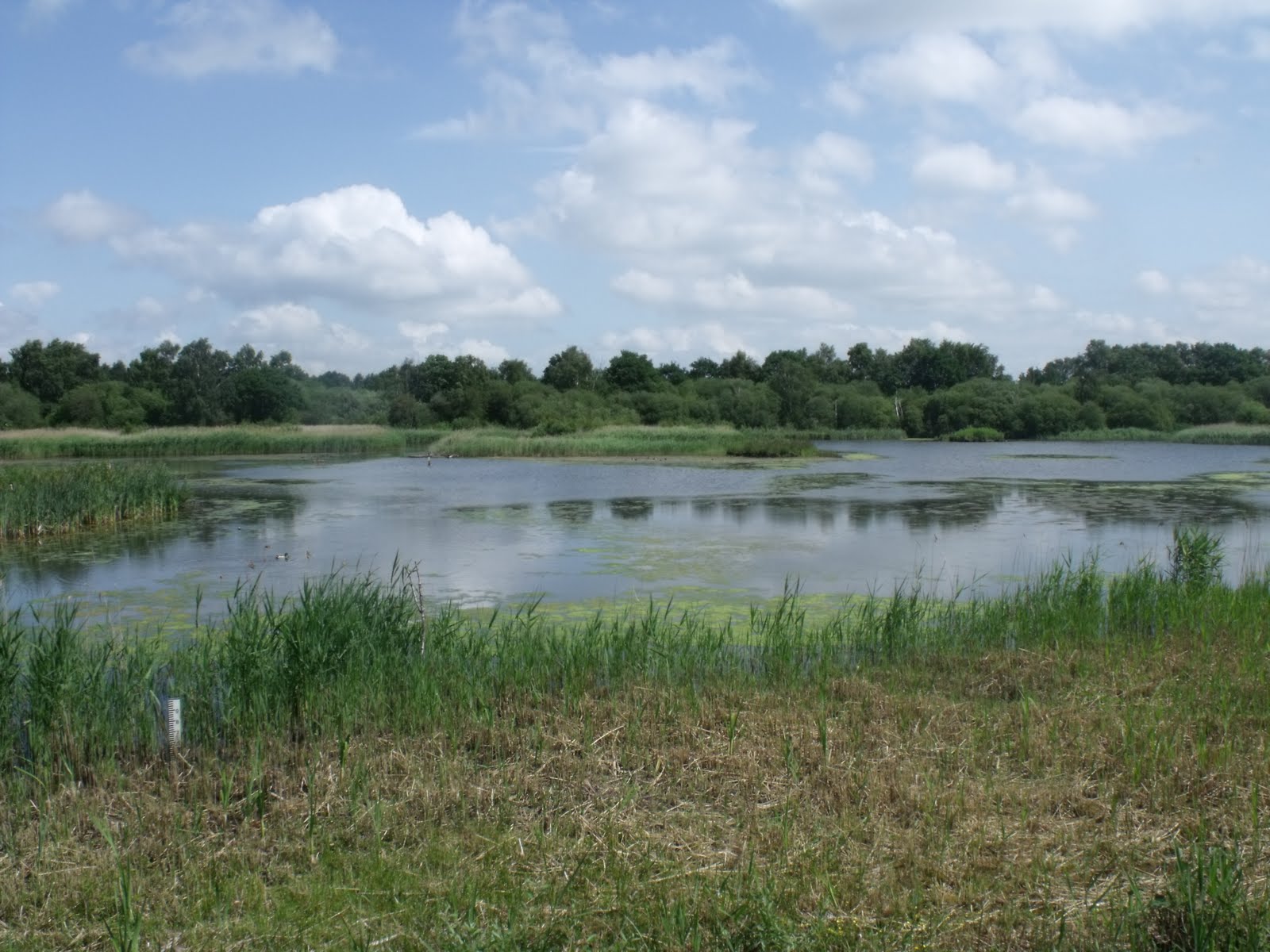 Yorkshire Ramblings: Potteric Carr Nature Reserve