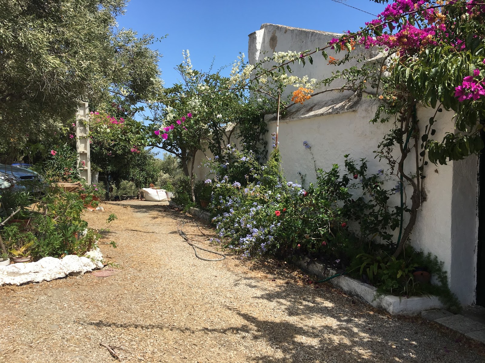 LOS PICHURRIS EN EL RINCÓN DE LA VICTORIA. UN DÍA DE AMISTAD COMPARTIDA ...