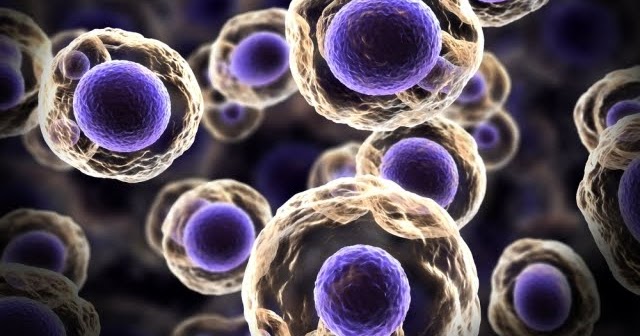 LUCA: Um Ancestral Comum