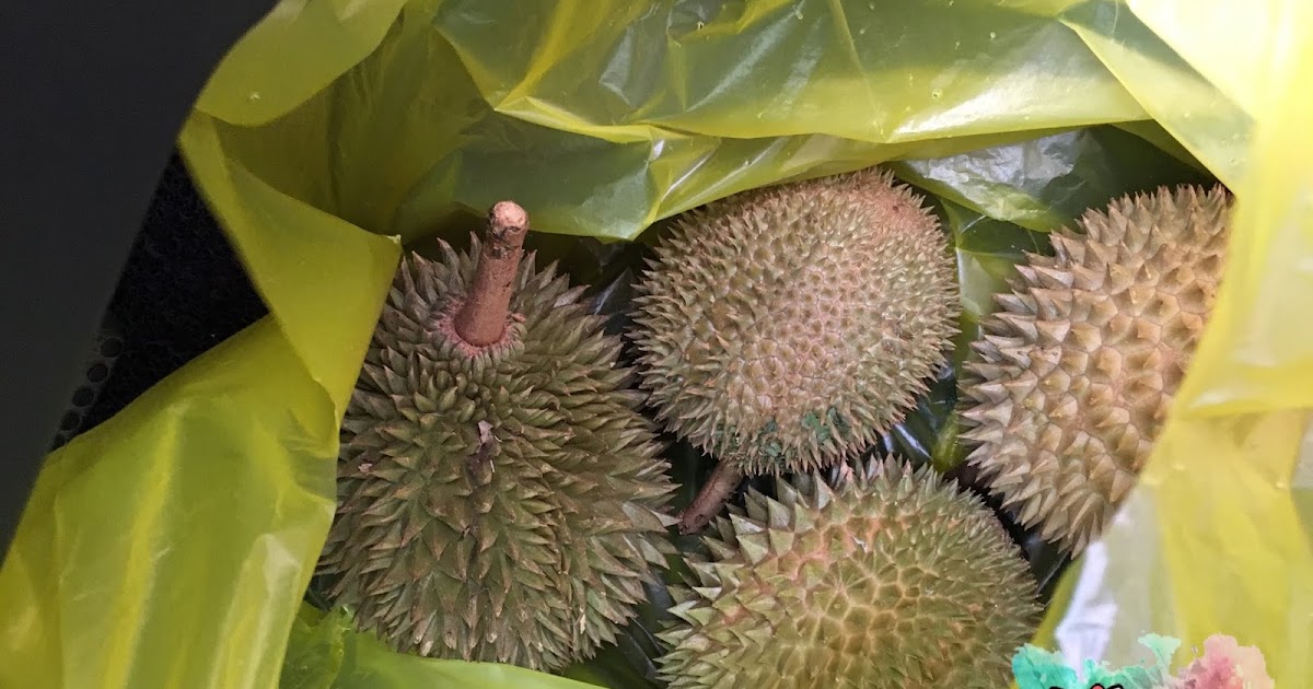 Rasa Durian Musang King memang berbeza daripada durian lain
