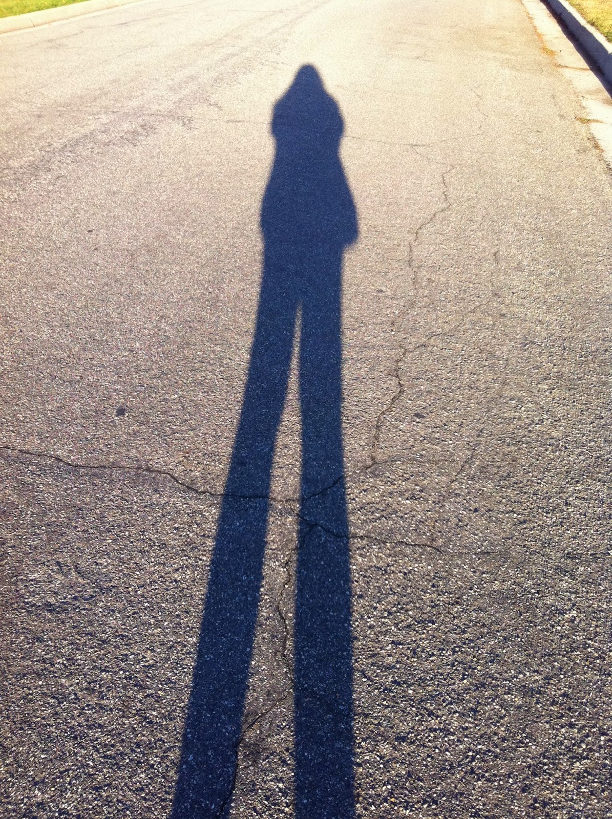 Michelle Martine Merrill's Picture of the Day: Creepy Shadow