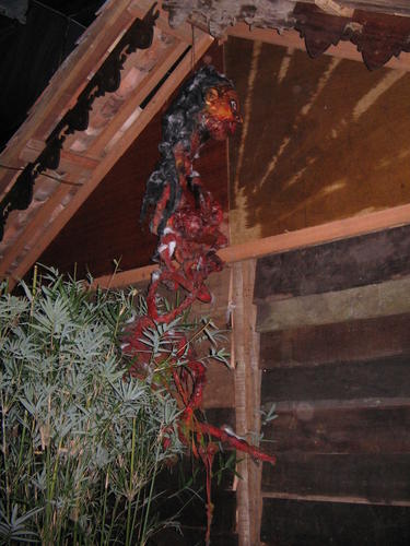 GAPURA ILMU: Penanggal @ Balan-balan