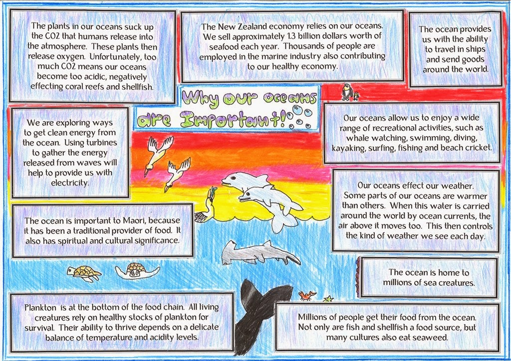Room 8 - Halcombe School: Why Are Our Oceans Important?
