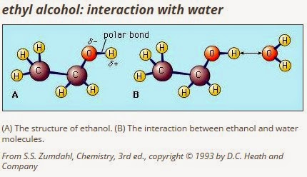 Rumus Kimia Etanol Zat Kimia Industri Yang Penting