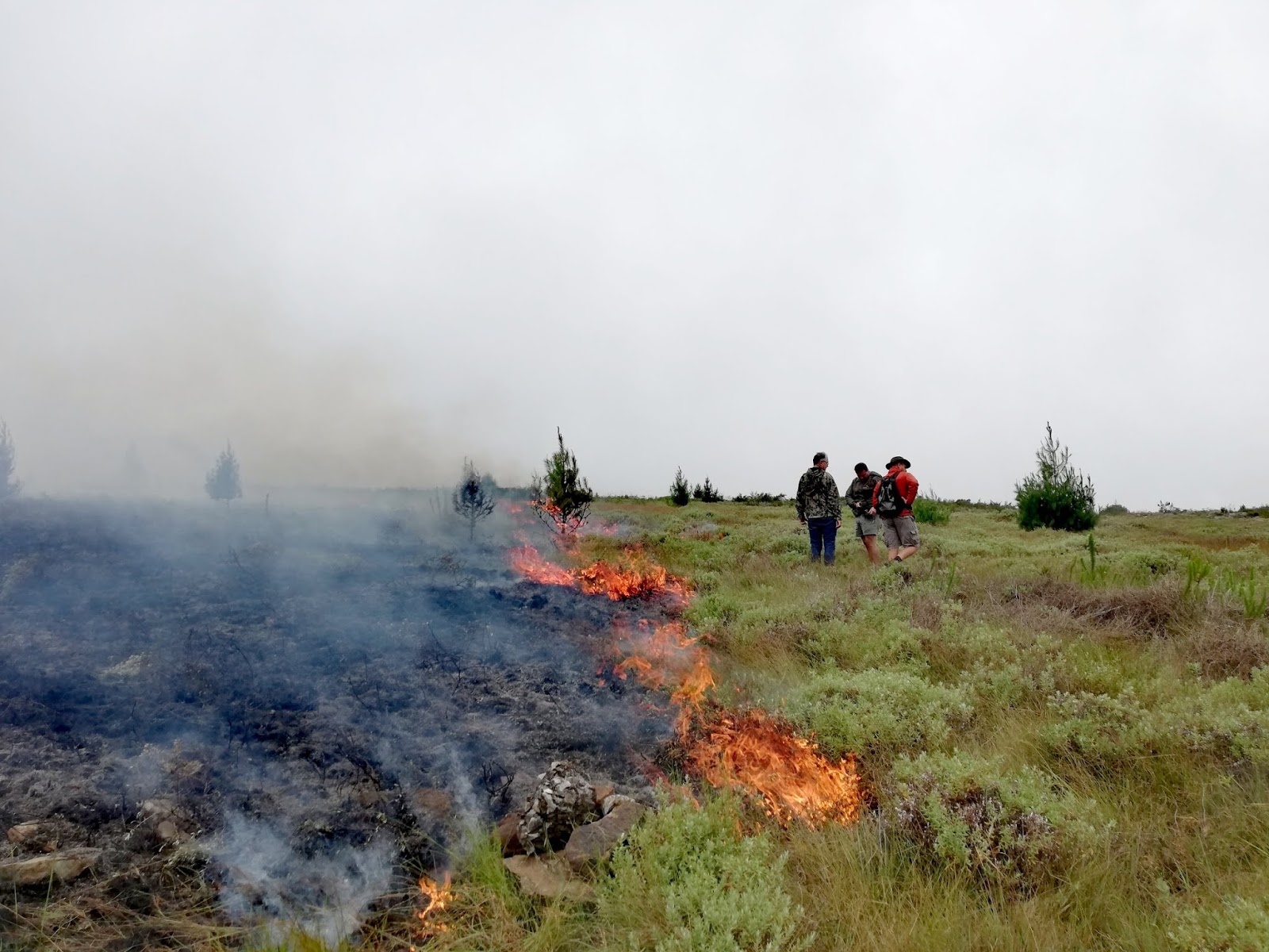 Fire Starters: Patch Mosaic Burning in the Grassland Biome – Nicolas Theron