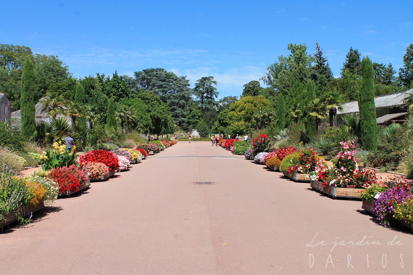 Le Jardin de Darius: Jardin botanique de Lyon, parc de la Tête d'Or