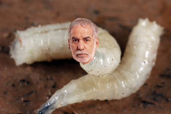 LA VERGÜENZA DE MI FAMILIA: INSECTOS PARASITARIOS AUTÓCTONOS