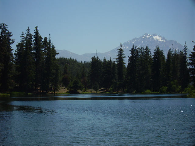 DOS VINOS INTERNACIONALES QUE DEBERÍAS PROBAR.