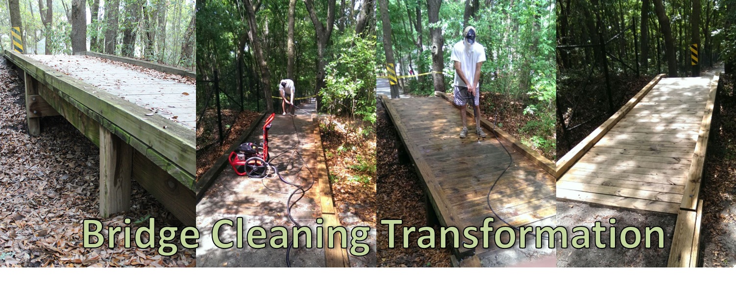 The Egret's Call : Tidbit Tuesdays - Trail Bridge Cleaning
