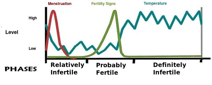 METODE KB SEDERHANA TANPA ALAT: Metode Kaleder, Suhu Basal, dan Metode ...