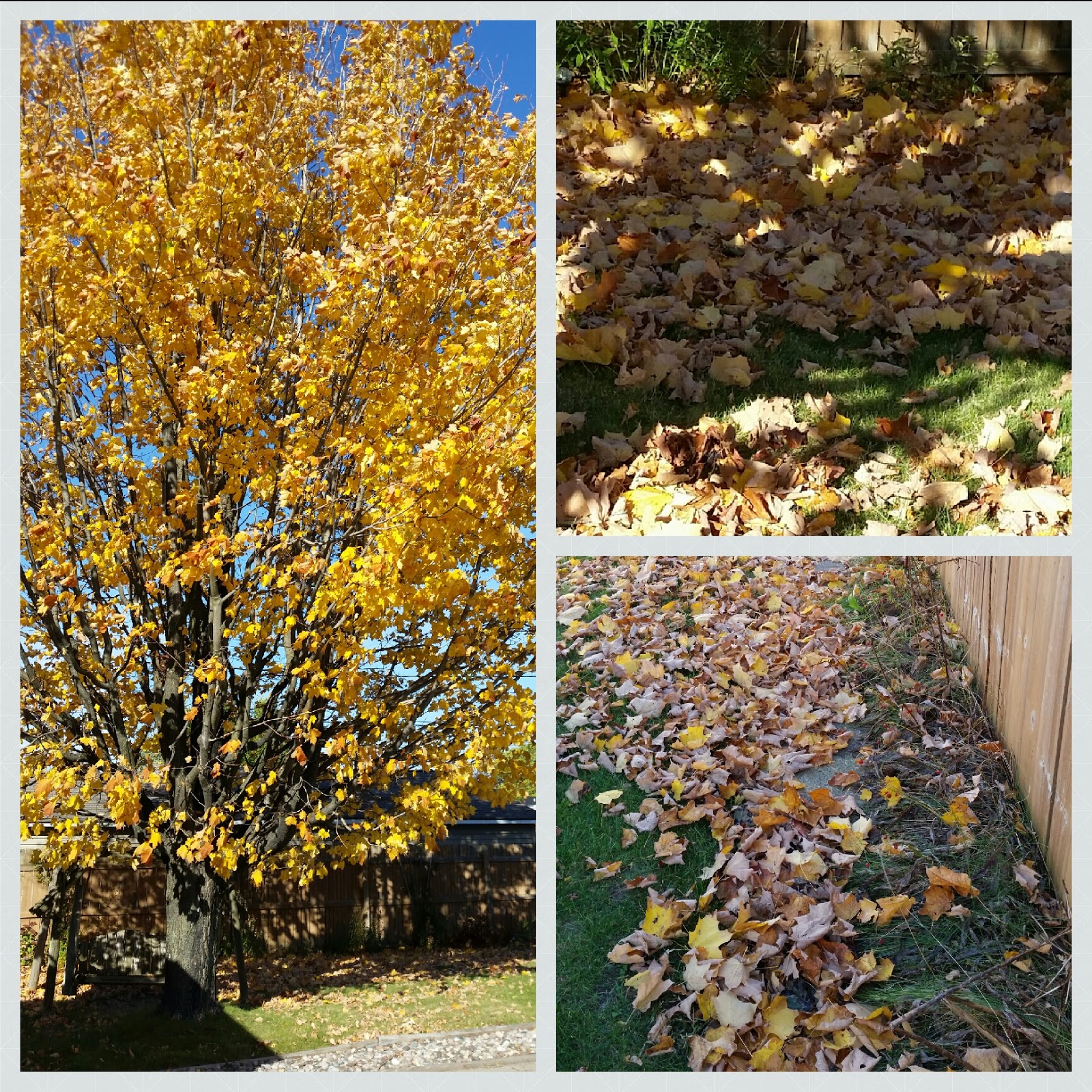 Celebrating the Dance : Dreary Fall Day and A Delay