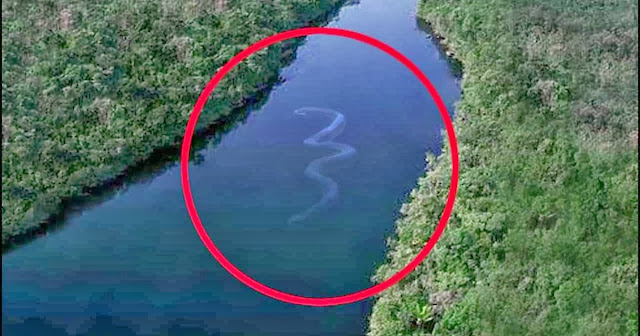 La Leyenda de la Yacumama