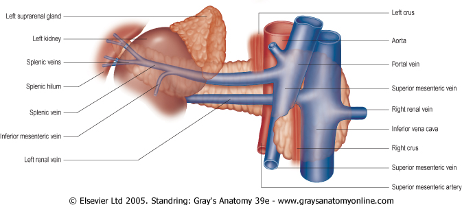 science for life: Adrenal Glands, Pancreas and Local Hormones.