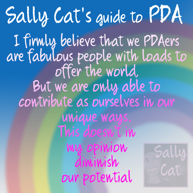 Sally Cat PDA: How I understand PDA (in language kids can understand)