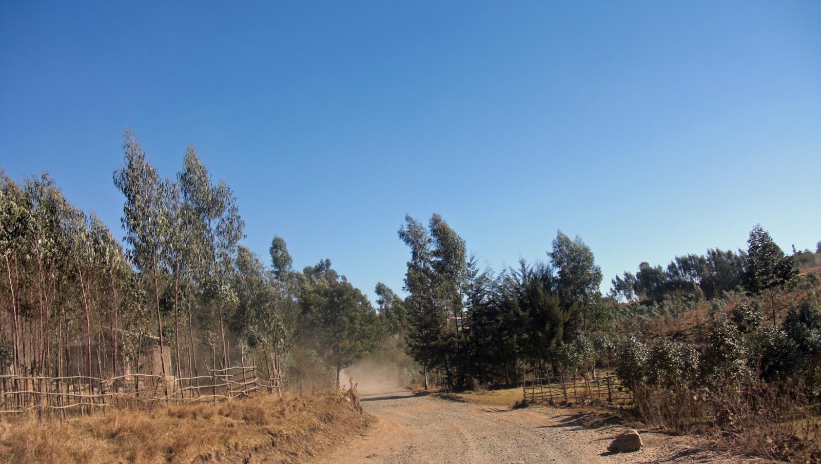 Our Journey to Sendafa, Ethiopia: February 2011