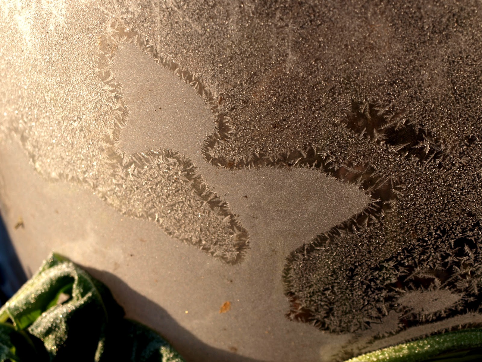 Mark's Veg Plot: Frost patterns - Nature's own artform