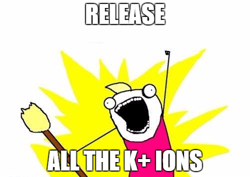 Lang C's Psychology Blog: I am (not) the Meme Queen