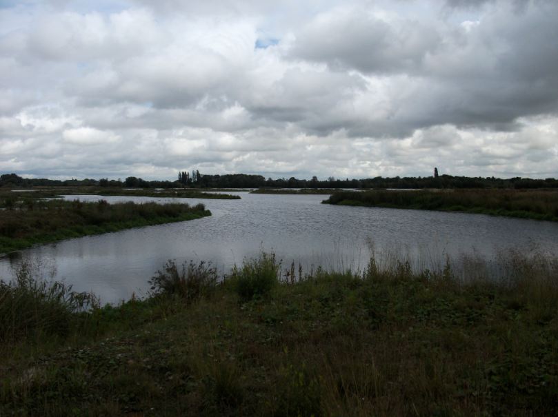 Vinnyman's Birding and Nature Blog.: Middleton Lakes RSPB Nature ...