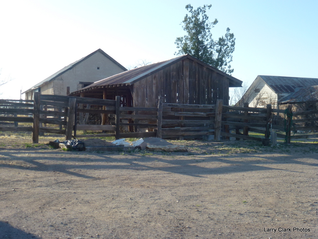 Road Runner: Empire Ranch, Sonoita, AZ